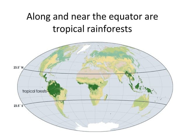 4 tropical rain forest biome | PPT