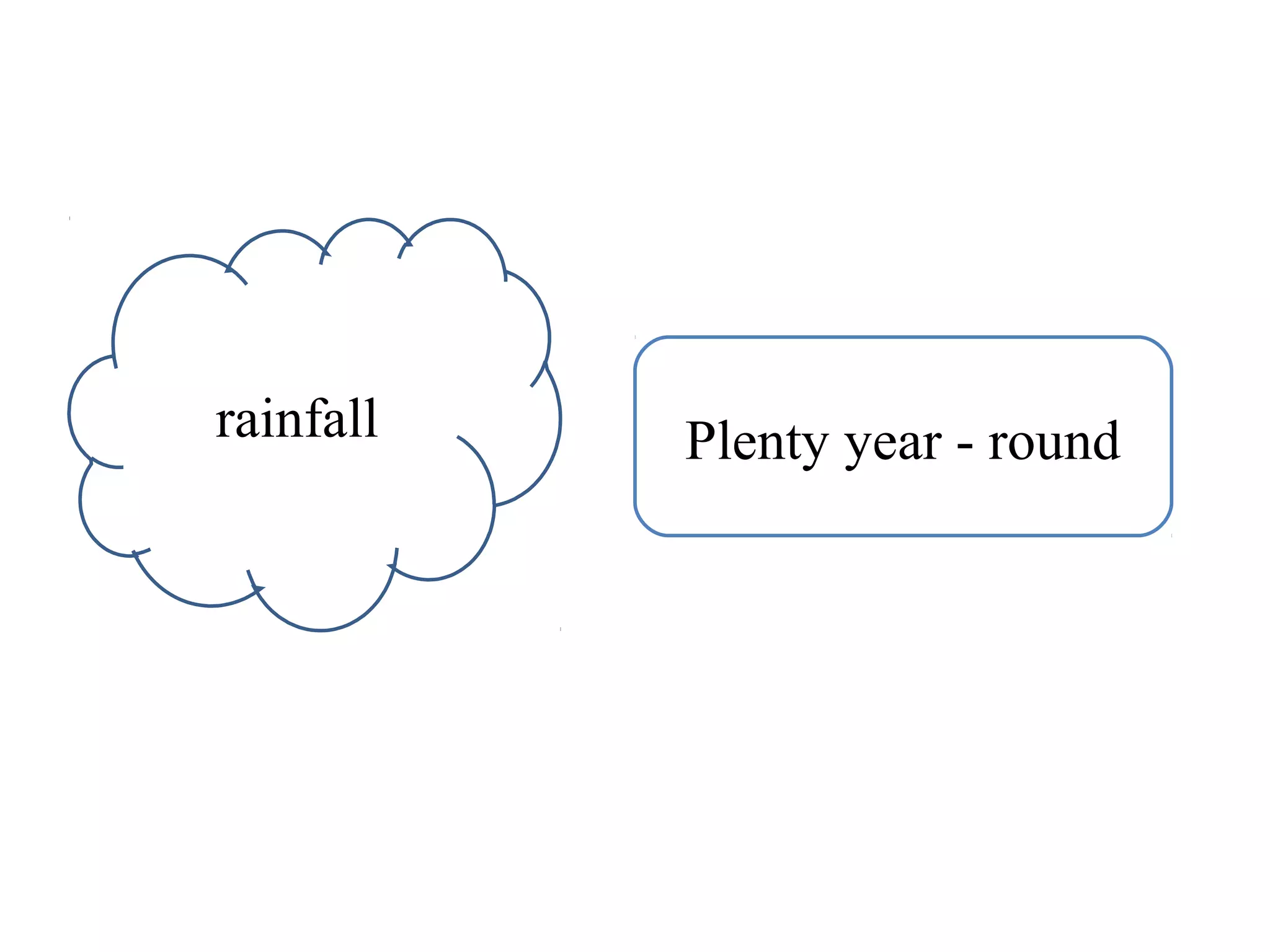 4 tropical rainforest | PPT