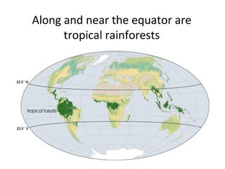 4 tropical rainforest | PPT