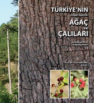 4-Turkiyenin_agac_ve_calilari.pdf