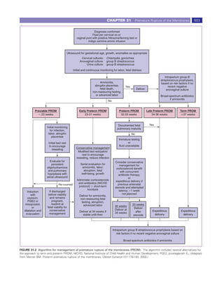 4 u1.0-b978-1-4160-4224-2..50034-x..docpdf | PDF | Pregnancy ...