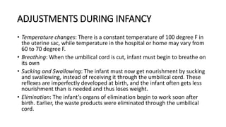 Human growth and Development -infancy.pptx | Pregnancy | Reproductive ...