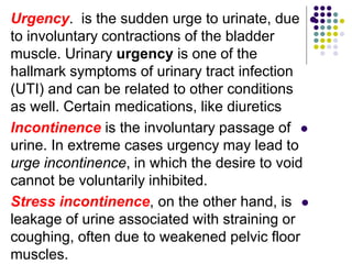 4-urinary-system and management of urinary infection | PPT | Endocrine ...