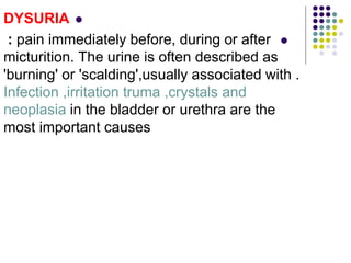 4-urinary-system and management of urinary infection | PPT | Endocrine ...