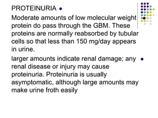 4-urinary-system and management of urinary infection | PPT | Endocrine ...