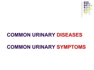 4-urinary-system and management of urinary infection | PPT | Endocrine ...
