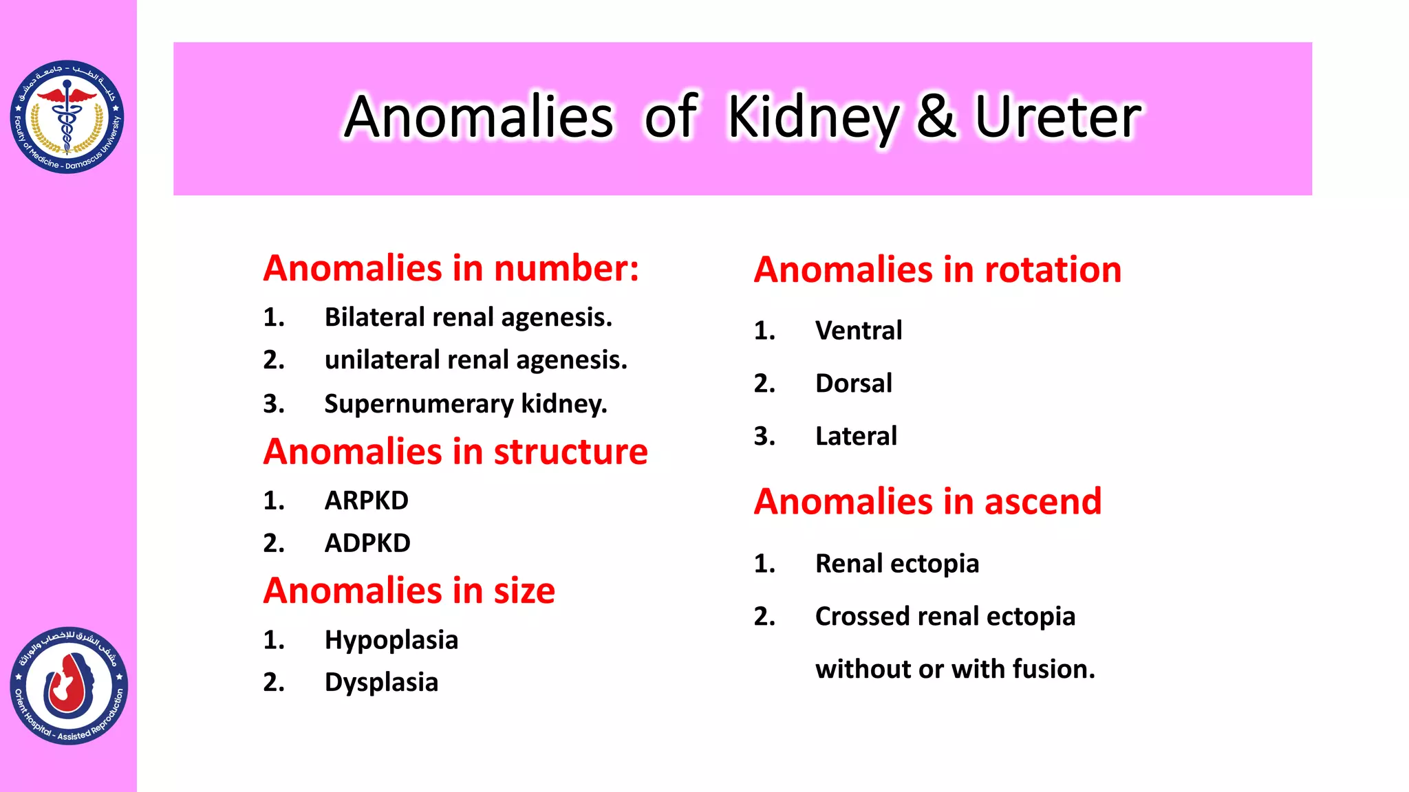 Urinary system anomalies | PDF