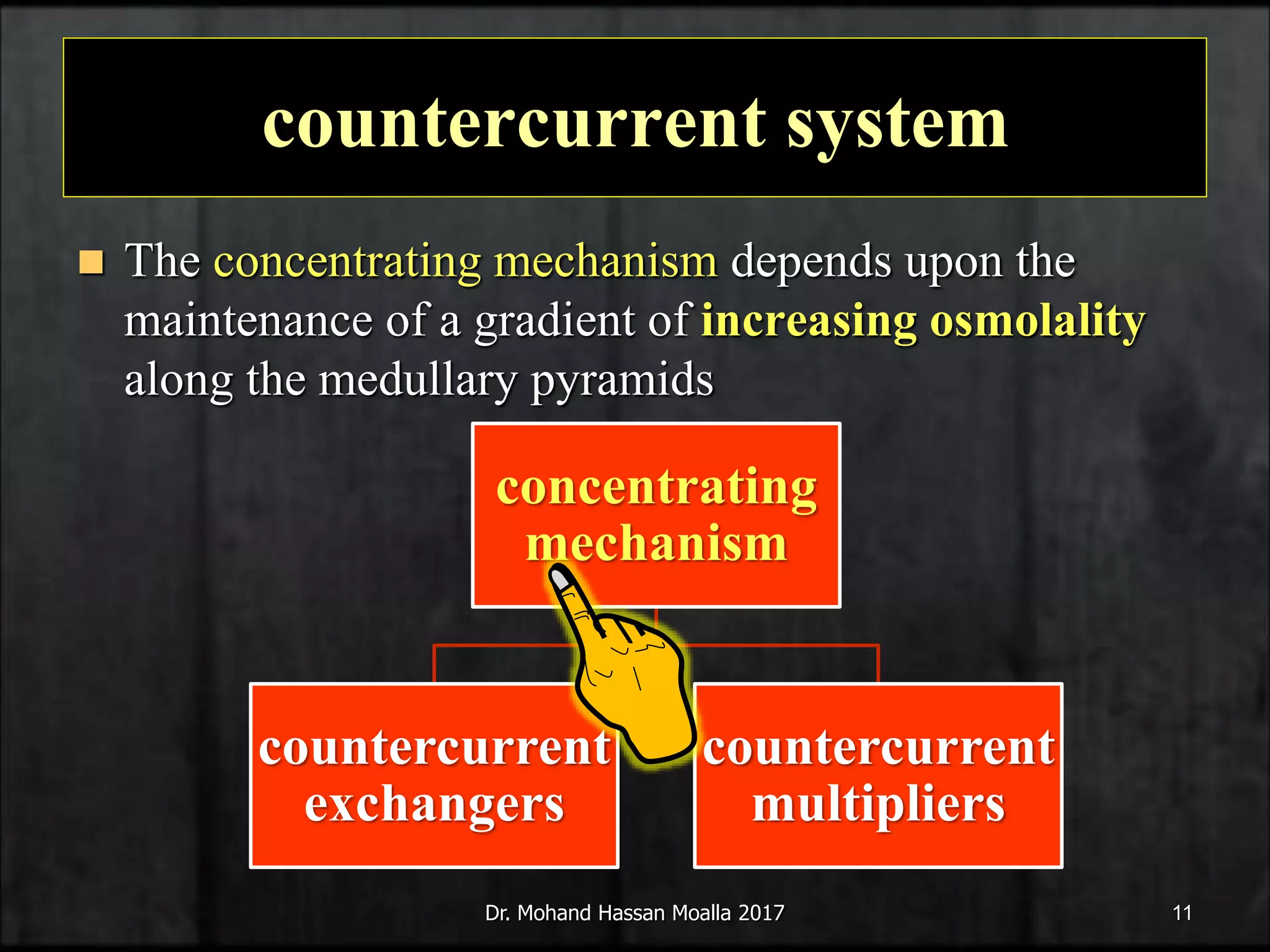 4-Urine concentration.ppt