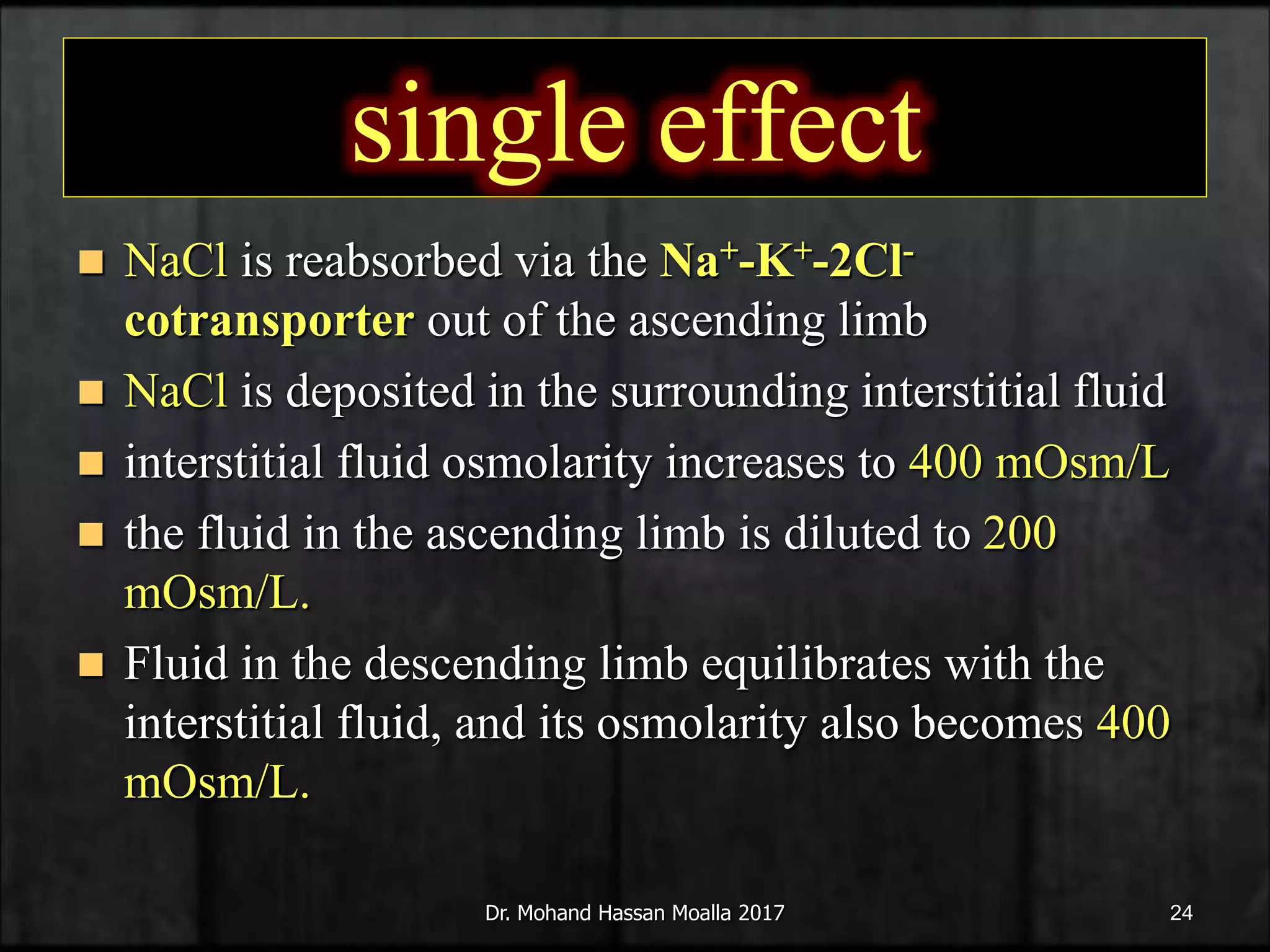 4-Urine concentration.ppt
