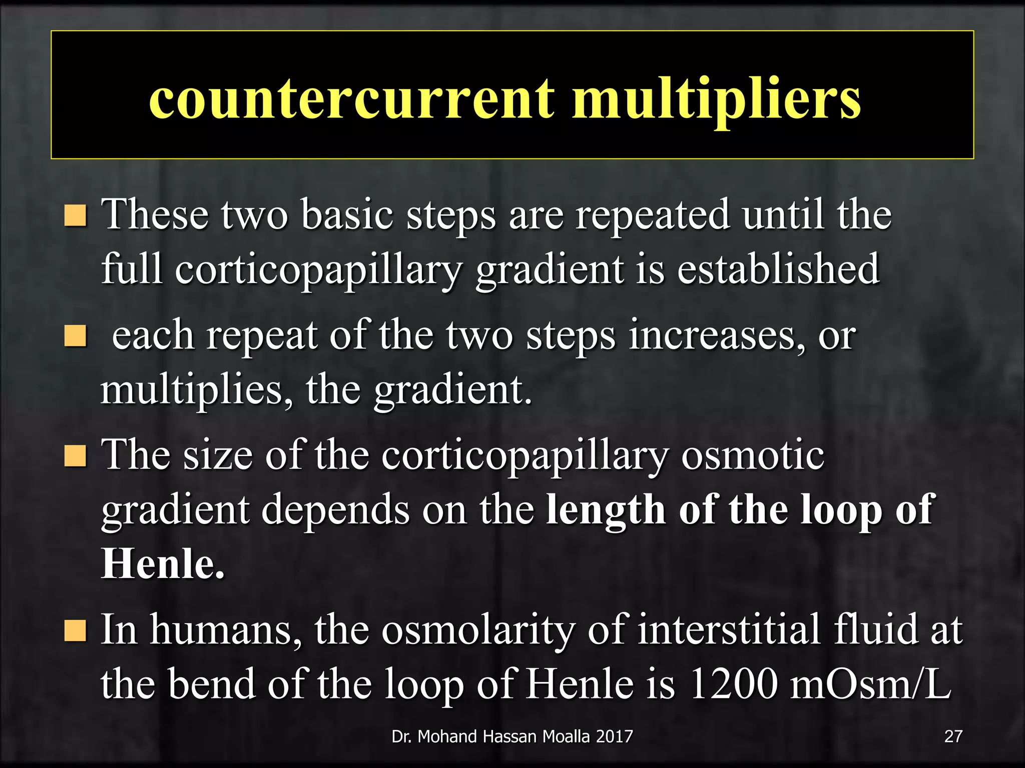 4-Urine concentration.ppt