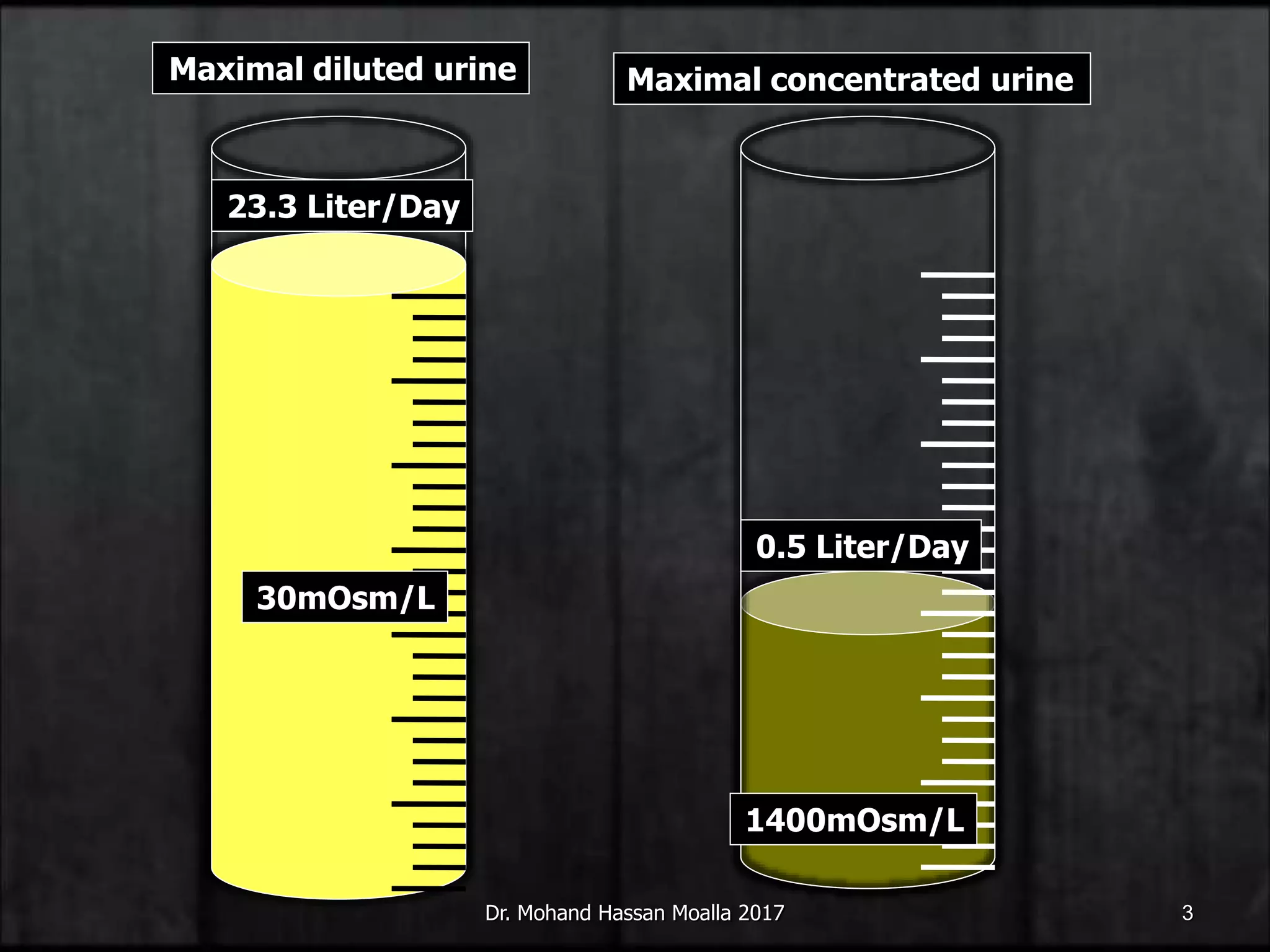 4-Urine concentration.ppt