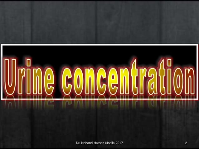 4-Urine concentration.ppt | Blood Disorders | Diseases and Conditions