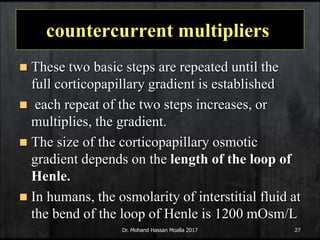 4-Urine concentration.ppt