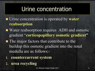 4-Urine concentration.ppt