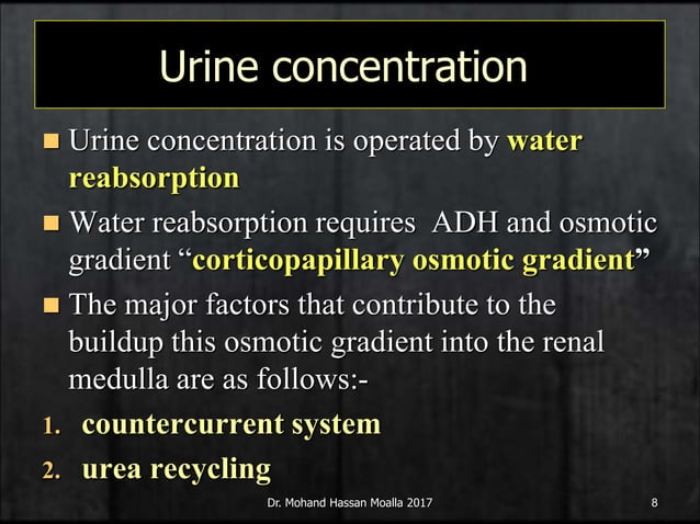 4-Urine concentration.ppt | Blood Disorders | Diseases and Conditions