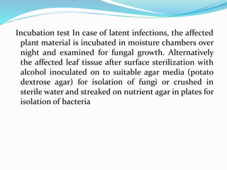 Symptomatic diagnosis and other techniques to detect pest / pathogen ...