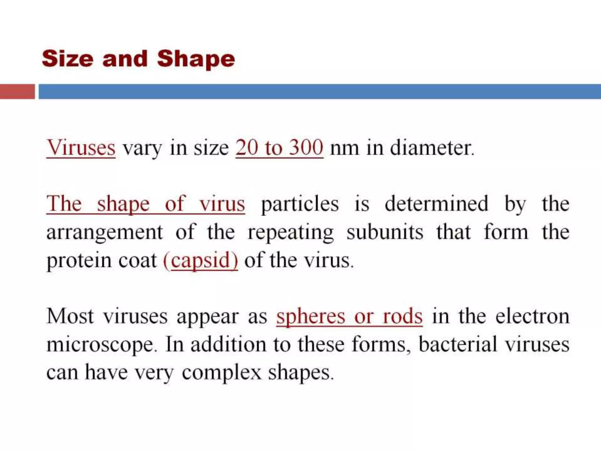 VIRAL GENETICS.pptx