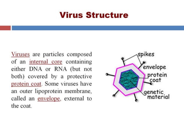 VIRAL GENETICS.pptx