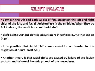 4. virola cleft palate | PPT