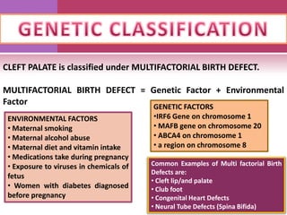 4. virola cleft palate | PPT