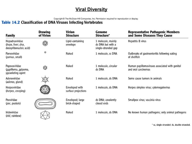 Virology (CELL AND CLASSIFICATION OF ORGANISMS) | PPT | Biological ...
