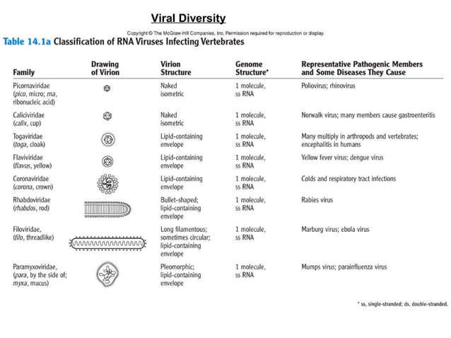 Virology (CELL AND CLASSIFICATION OF ORGANISMS) | PPT | Biological ...