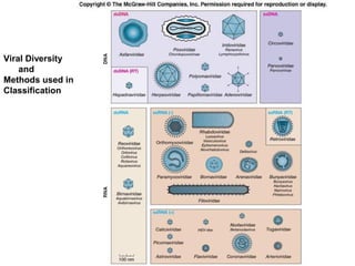 Virology (CELL AND CLASSIFICATION OF ORGANISMS) | PPT