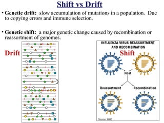 4- Virus Evolution and bioinformatics.ppt