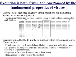 4- Virus Evolution and bioinformatics.ppt