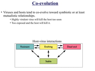 4- Virus Evolution and bioinformatics.ppt