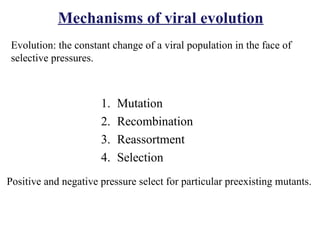 4- Virus Evolution and bioinformatics.ppt