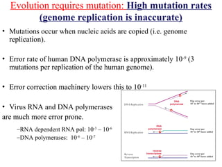 4- Virus Evolution and bioinformatics.ppt