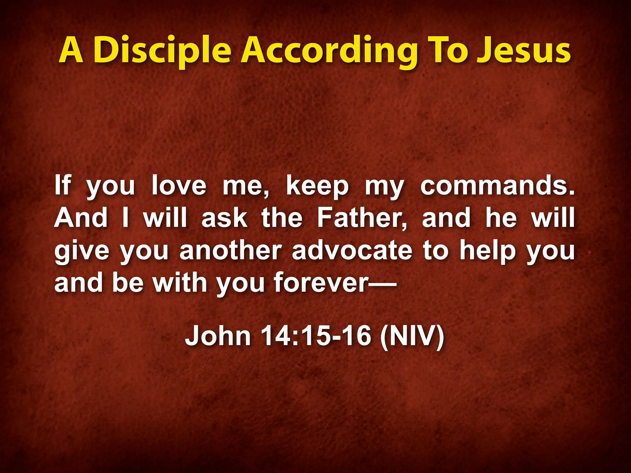 4. What Does It Mean to be a Disciple of Jesus? | PDF | Christianity ...
