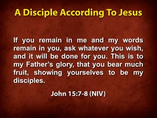 4. What Does It Mean to be a Disciple of Jesus? | PDF | Christianity ...