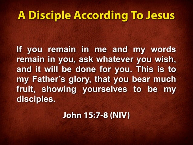 4. What Does It Mean to be a Disciple of Jesus? | PDF | Christianity ...
