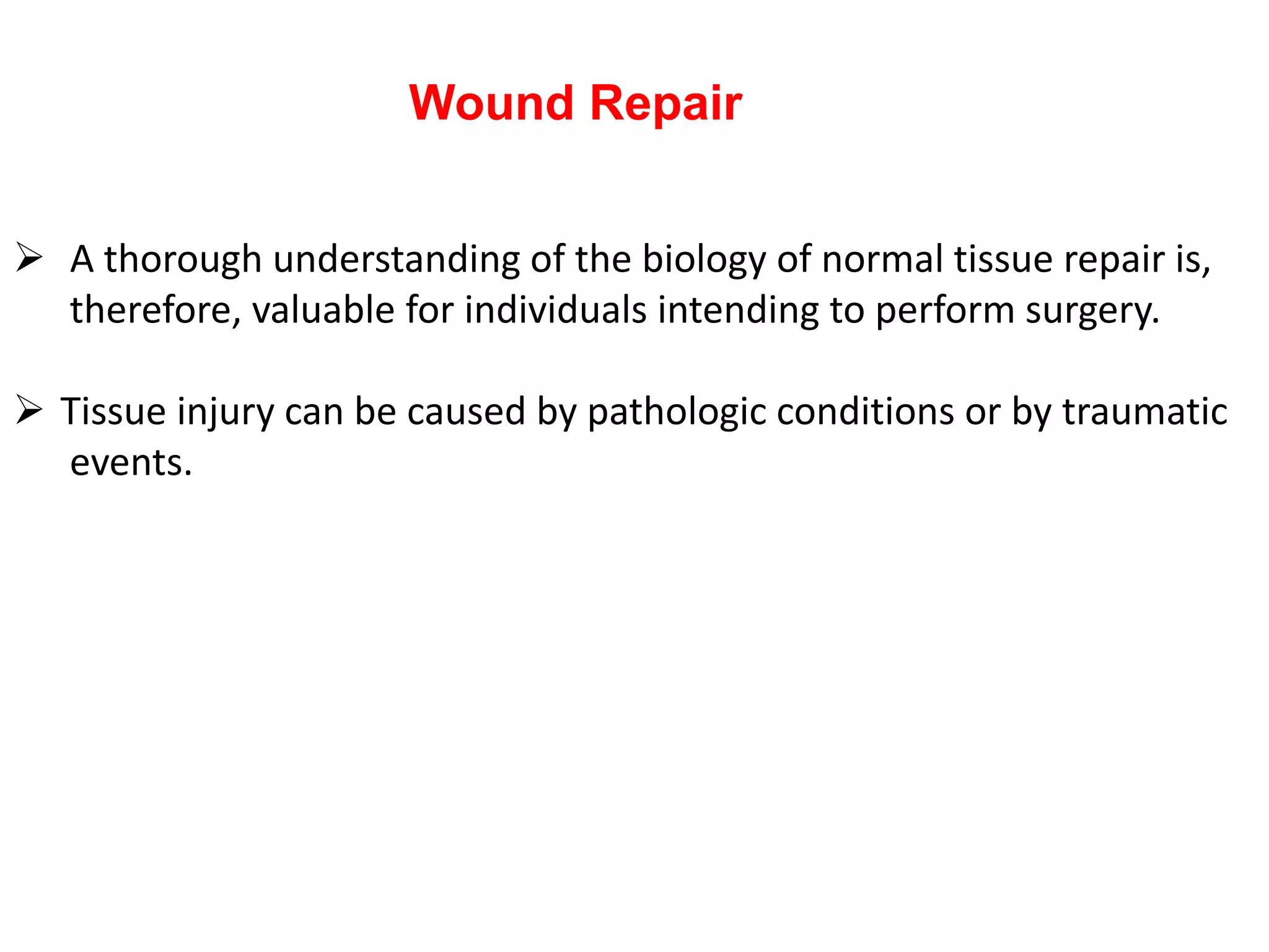 wound repair | PPTX