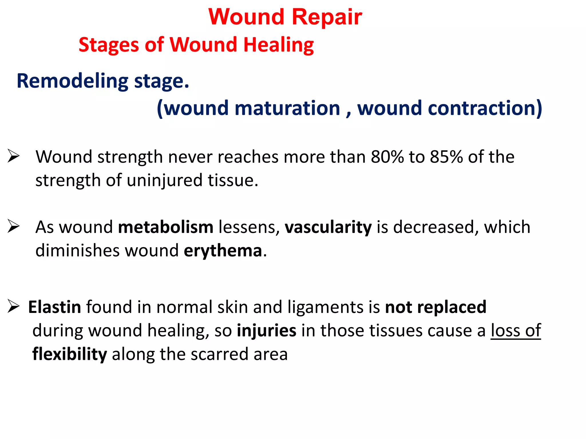 wound repair | PPTX