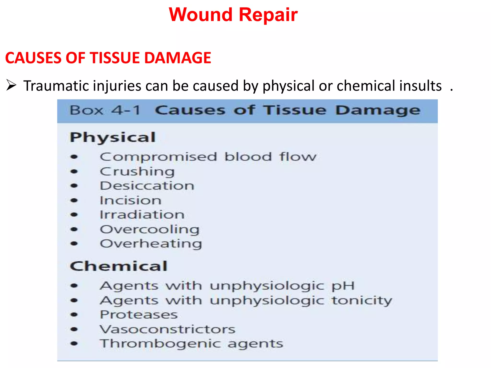 wound repair | PPTX