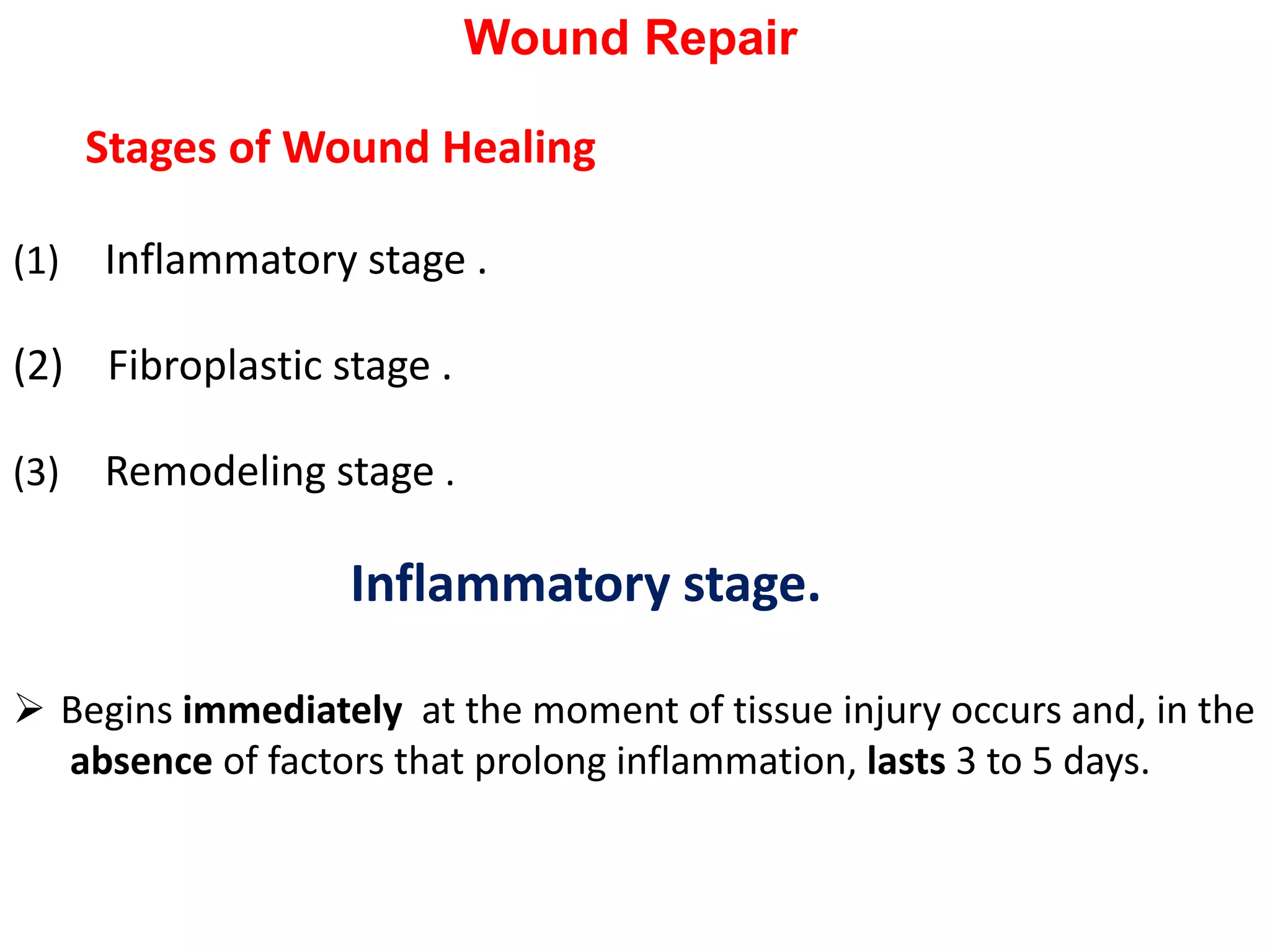 wound repair | PPTX