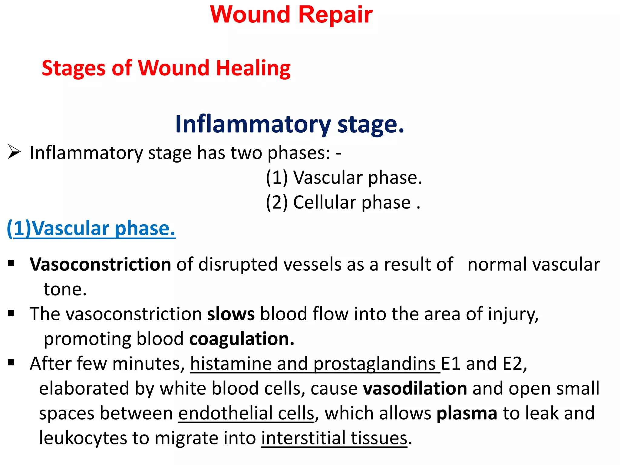 wound repair | PPTX