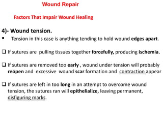 wound repair | PPTX