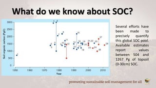 GSOCmap - Yusuf Yigini, Guillermo Olmedo | PPT