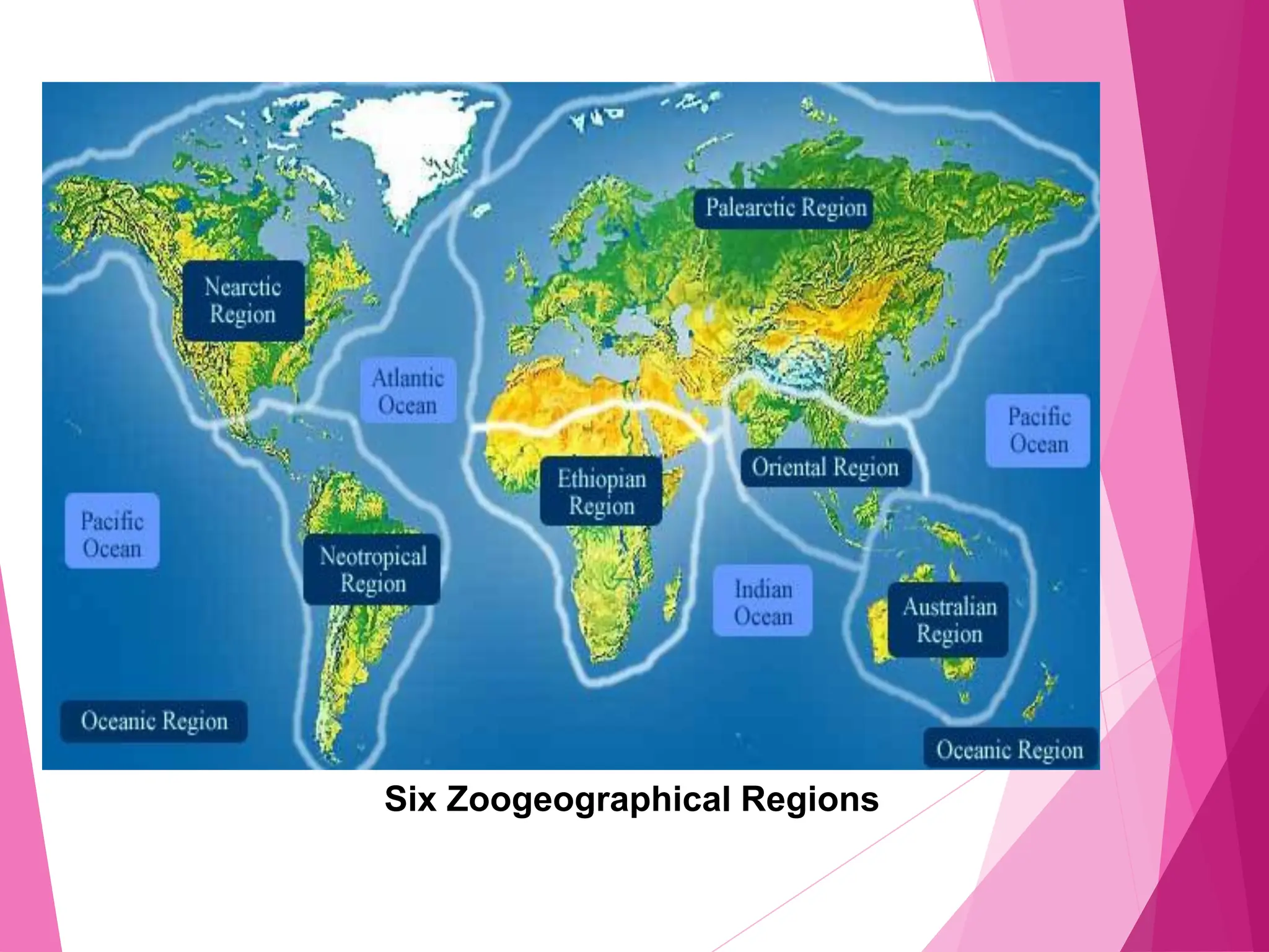 4- Zoogeographical Regions.pdf msc bs honr | PDF
