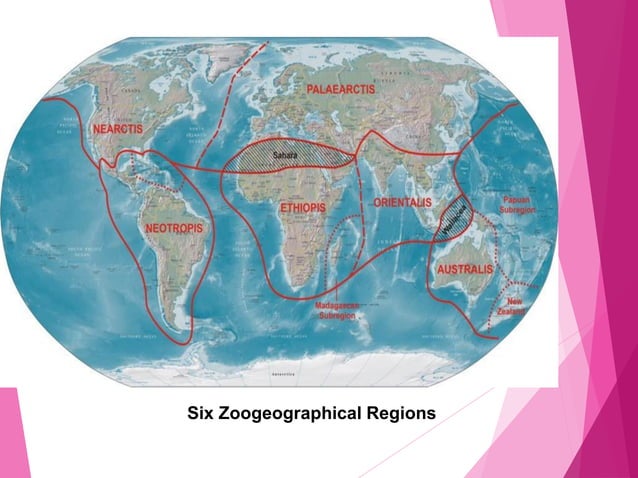 4- Zoogeographical Regions.pdf msc bs honr | PDF | South America Travel ...