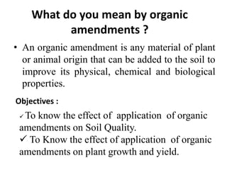 IMPACT OF ORGANIC AMENDMENTS ON SOIL QUALITY, PLANT GROWTH AND YIELD OF ...