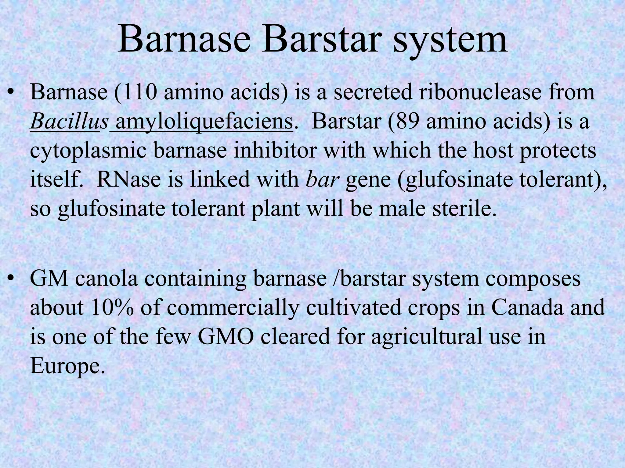 Transgenic Male Sterility | PPTX