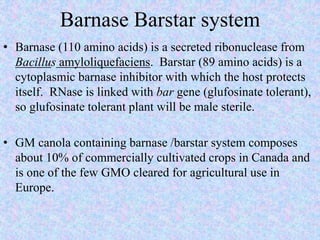 Transgenic Male Sterility | PPTX