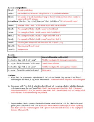 40. Bacterial Transformation Lab Notebook TEACHER.doc
