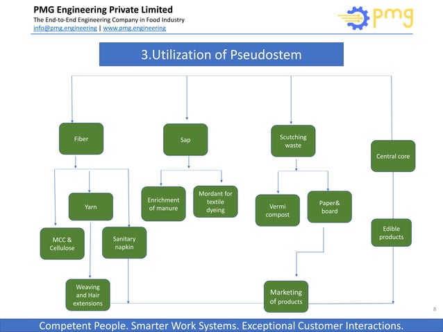 Banana Pseudostem extraction and utilization.pptx