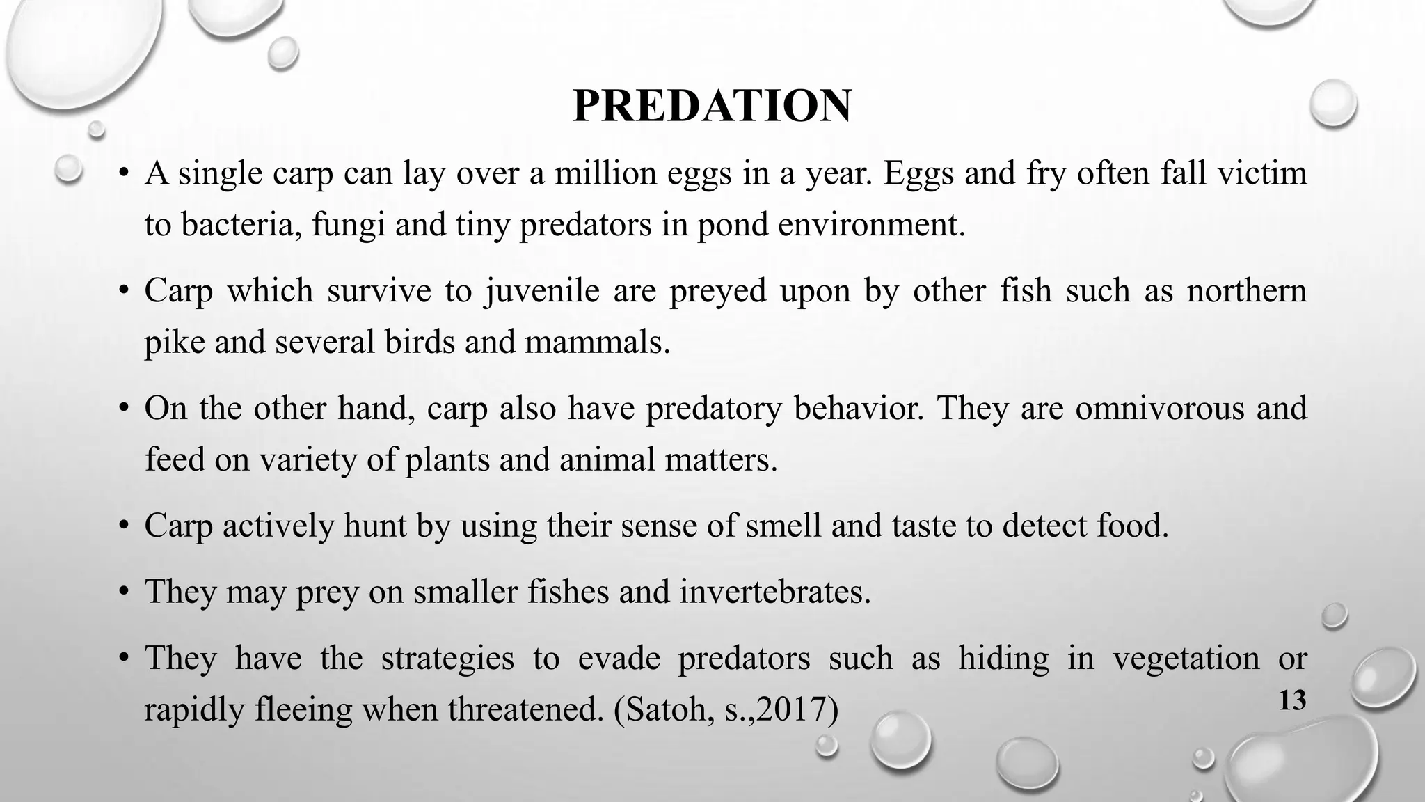 Common carp introduction & Morphology and its behaviour characteristics ...